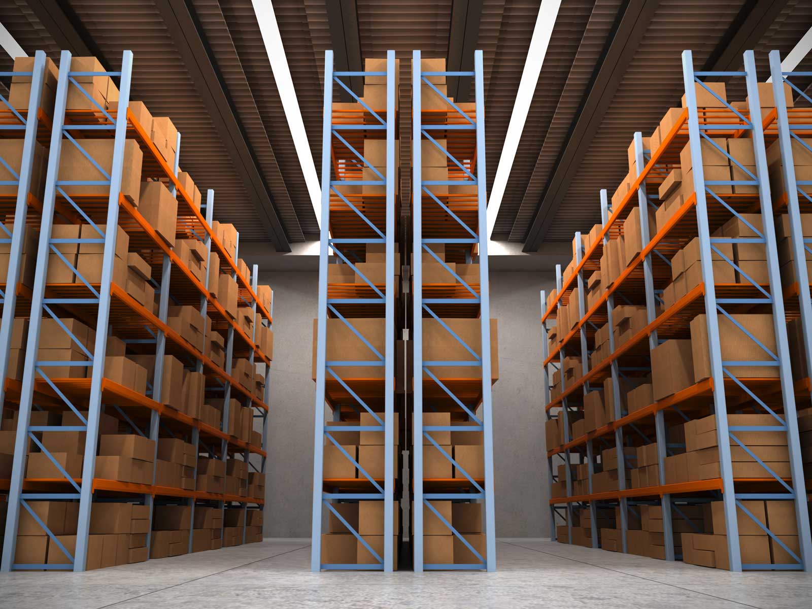 Customized Racks: A Stylish Approach to Efficient Storage